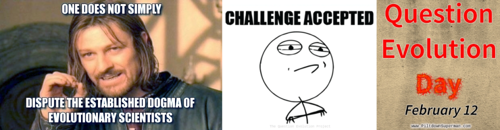 HAPPY QUESTION EVOLUTION DAY! | A Bit of Orange